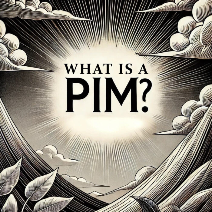 PIM Explained: What is Product Data Management | Stedger